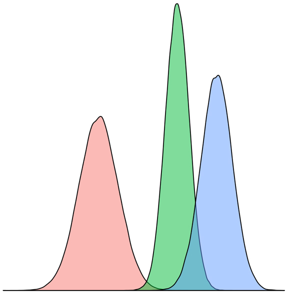 Zhuodiao(Hwei) Kuang